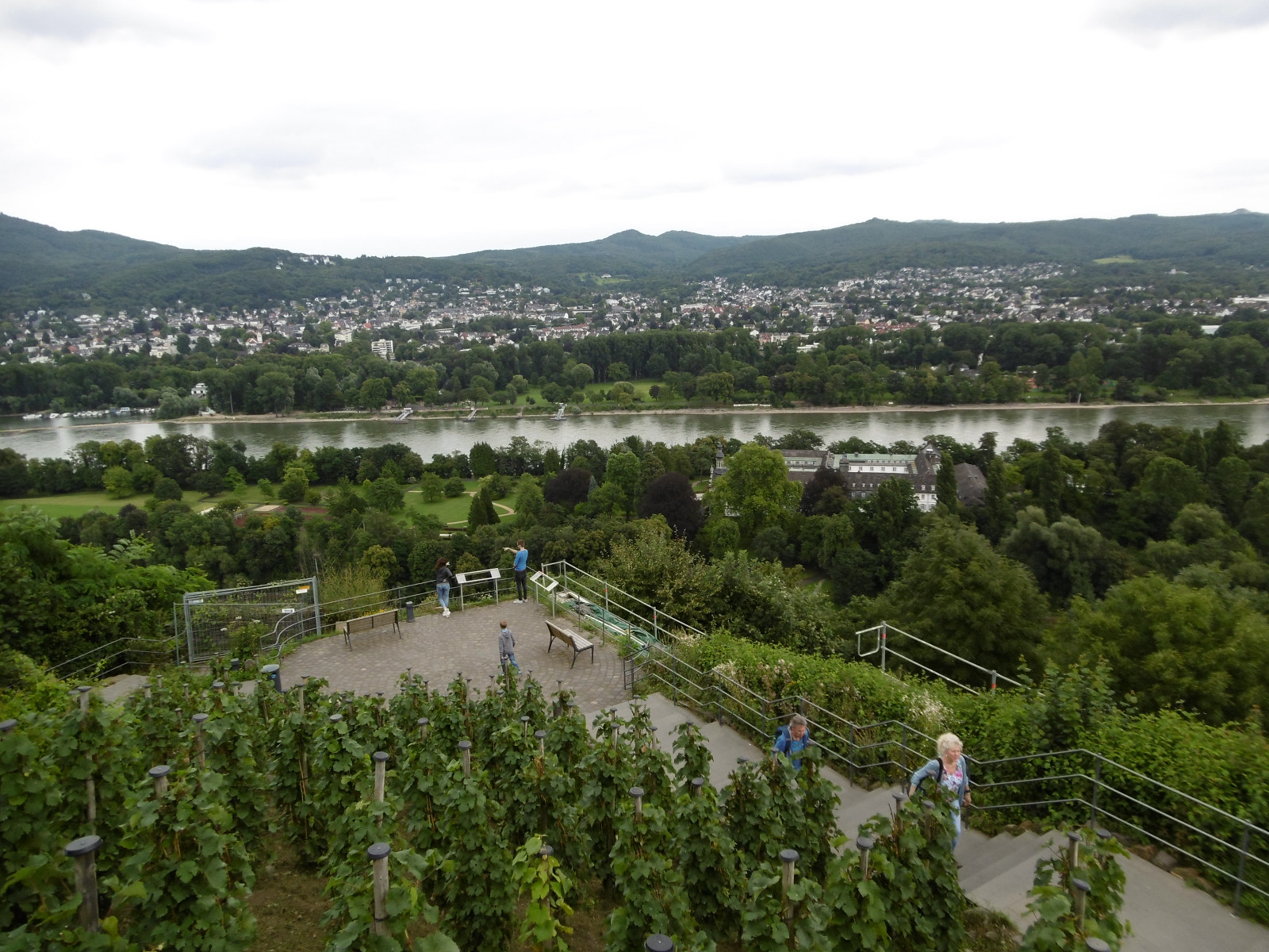 D-53424 Restaurant Rolandsbogen – Pedestrial